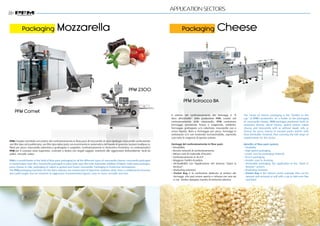 PFM Group Packaging Solutions | PDF