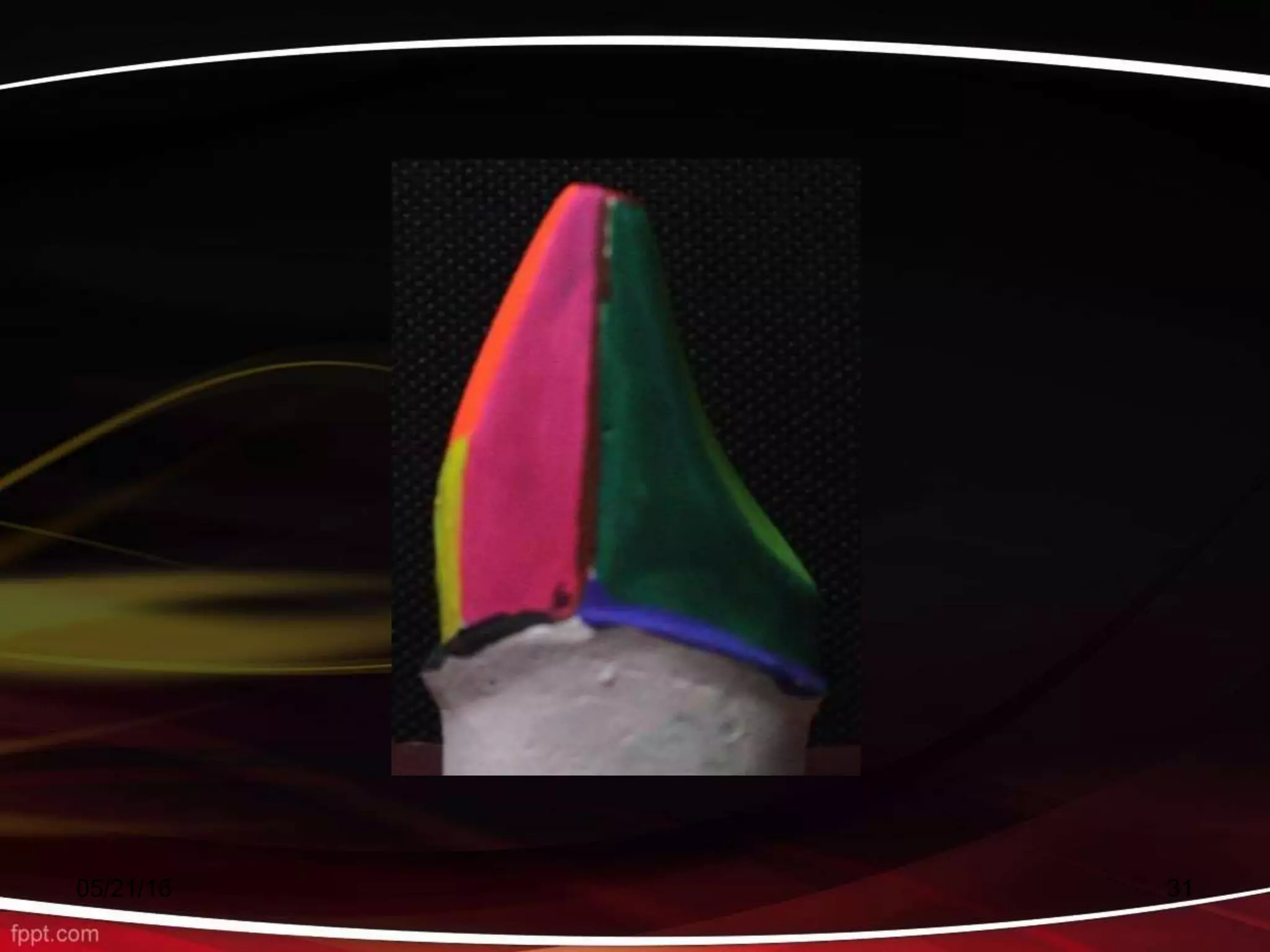 PFM PREPARATION.pptx