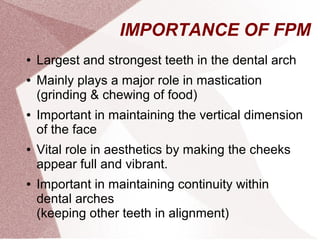 Extraction Of The First Permanent Molar | ODP