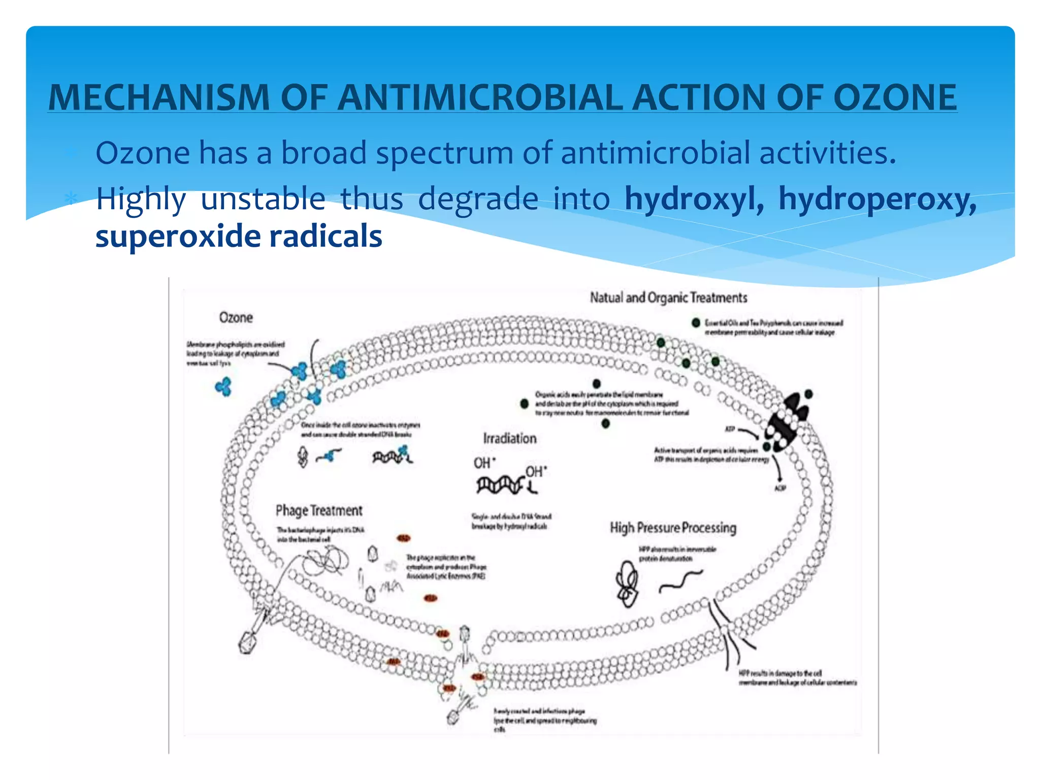 Ozone: In Fruits and Vegetables Industry | PPT