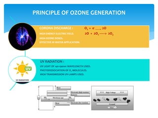 Ozone: In Fruits and Vegetables Industry | PPTX