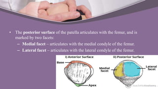 Patellofemoral Pain Syndrome | PPTX | Death, Injury, or Military ...