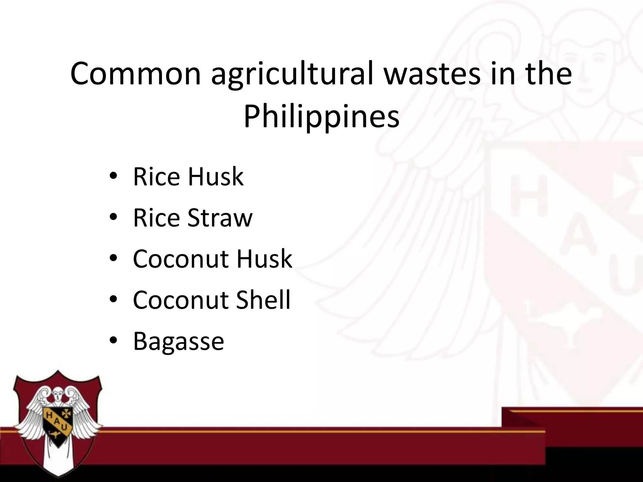 PROJECT FEASIBILITY STUDY MADE FROM RICE HULLS | PPTX