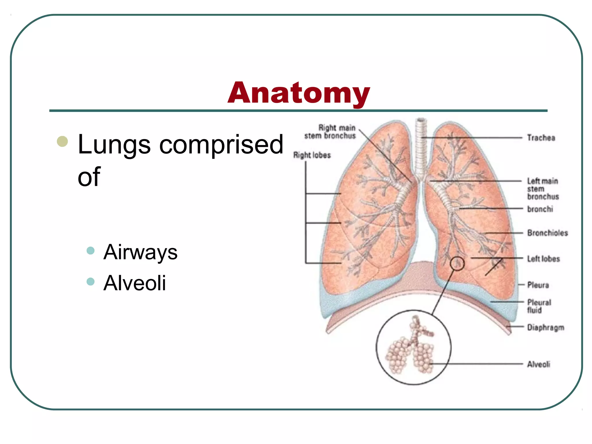 Pulmonary Function Testing | PPT