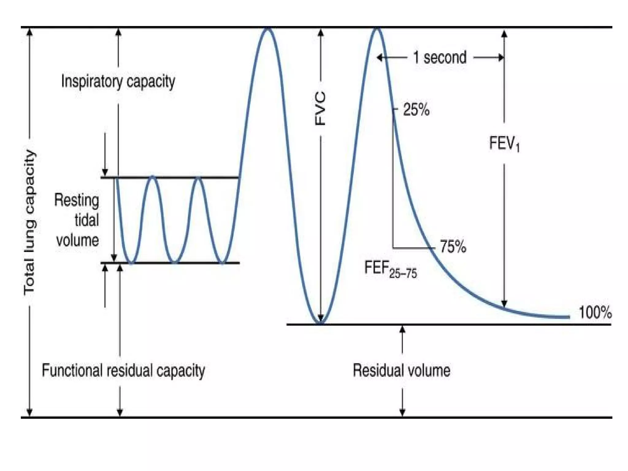 Pulmonary Function Testing | PPT