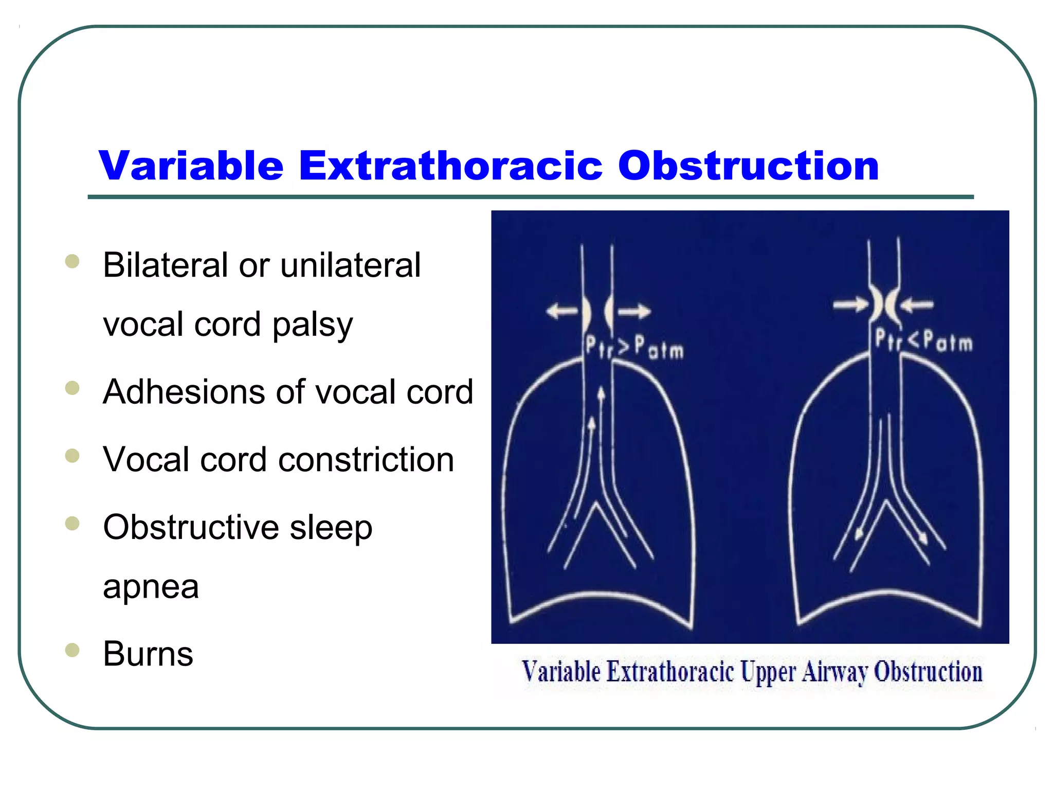 Pulmonary Function Testing | PPT