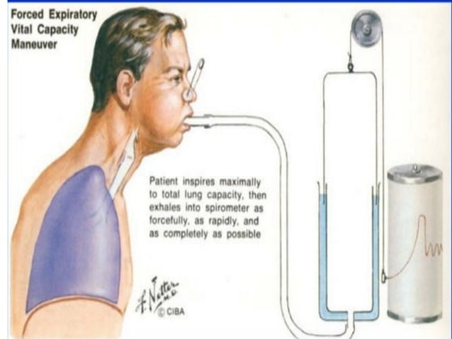 Pulmonary Function Testing | PPT | Lung and Respiratory Health ...