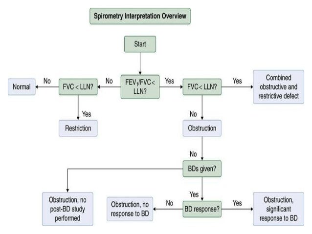 Pulmonary Function Testing