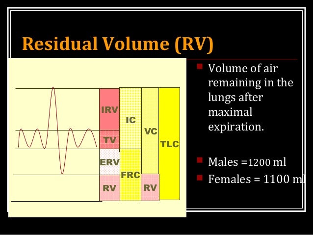 PULMONARY FUNCTION TESTS