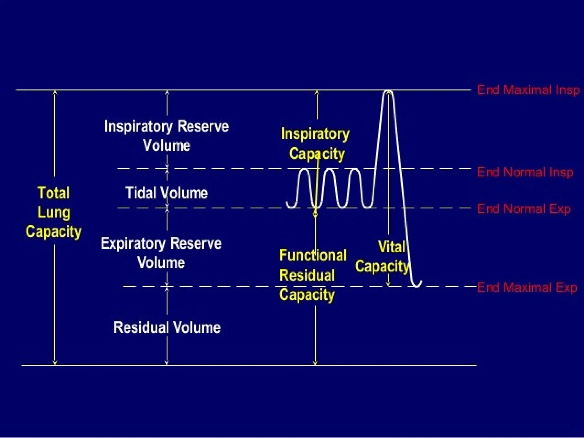 Pulmonary function test ( spirometery) .pptx