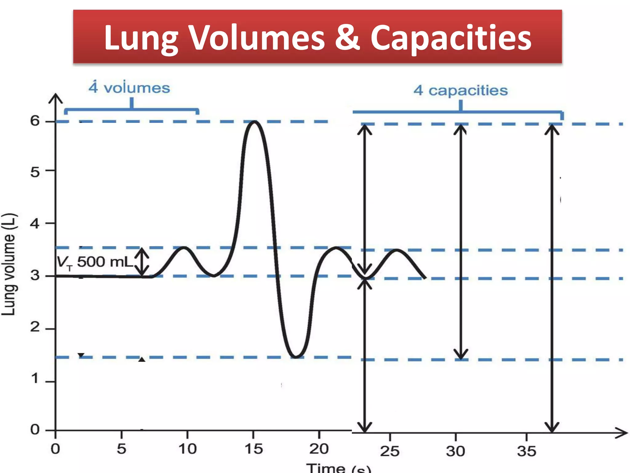 Pulmonary functions Tests | PPTX | Lung and Respiratory Health ...
