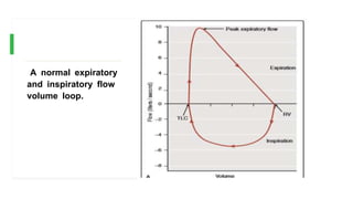 pulmonary Function Test | PPTX | Lung and Respiratory Health | Diseases ...
