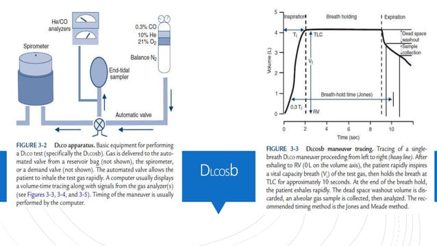 Diffusing Capacity Tests | PPTX