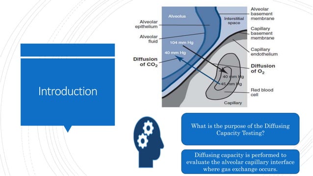 Diffusing Capacity Tests | PPTX