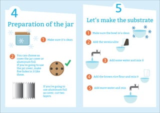 Mushroom PF-TEK growing instructions | PDF