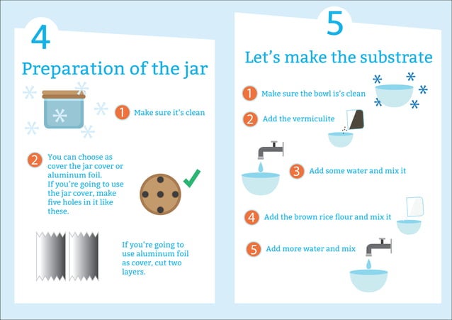 Mushroom PF-TEK growing instructions | PPT