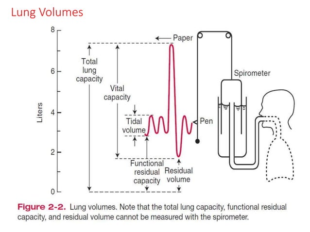 Common pulmonary functions and interpretation | PPTX