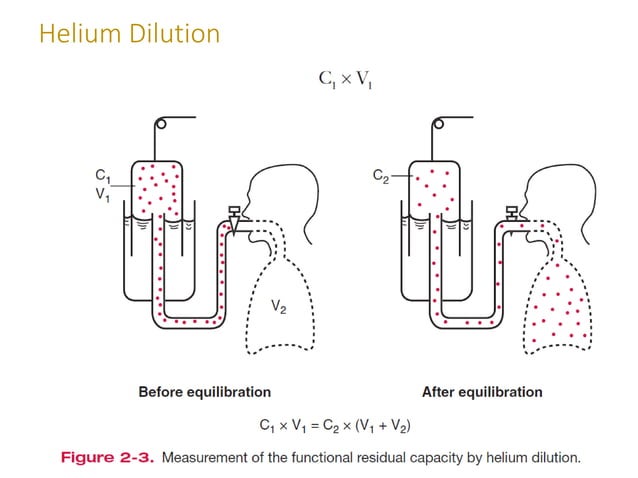 Common pulmonary functions and interpretation | PPTX