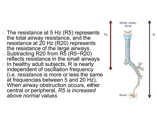 Common pulmonary functions and interpretation | PPTX