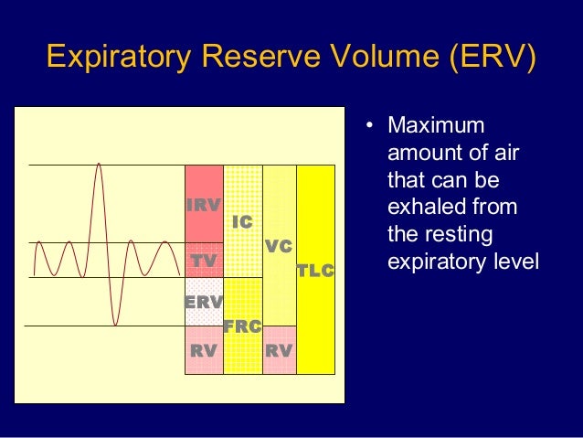 Pulmonary Function Test