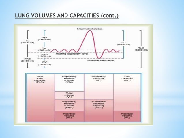 Pulmonary Function Test Ppt Pptx