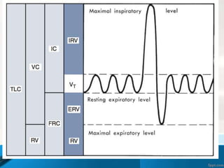 Pulmonary functions test | PPTX