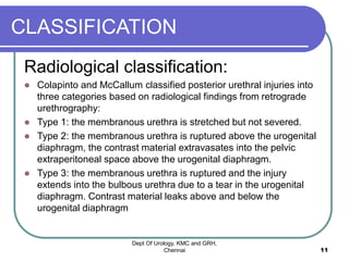 Pfudd Classification PDF