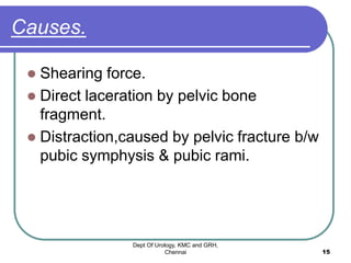 Pfudd classification | PDF