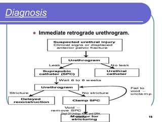 Pfudd classification | PDF