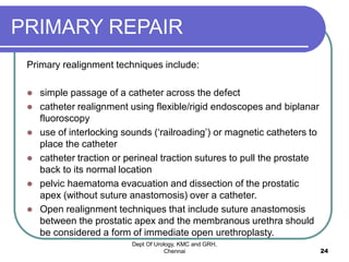 Pfudd classification | PDF