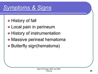 Pfudd classification | PDF