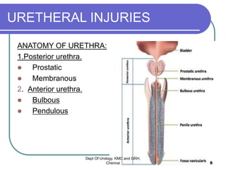 Pfudd classification | PDF