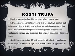 Skeletni sistem čoveka | PPTX