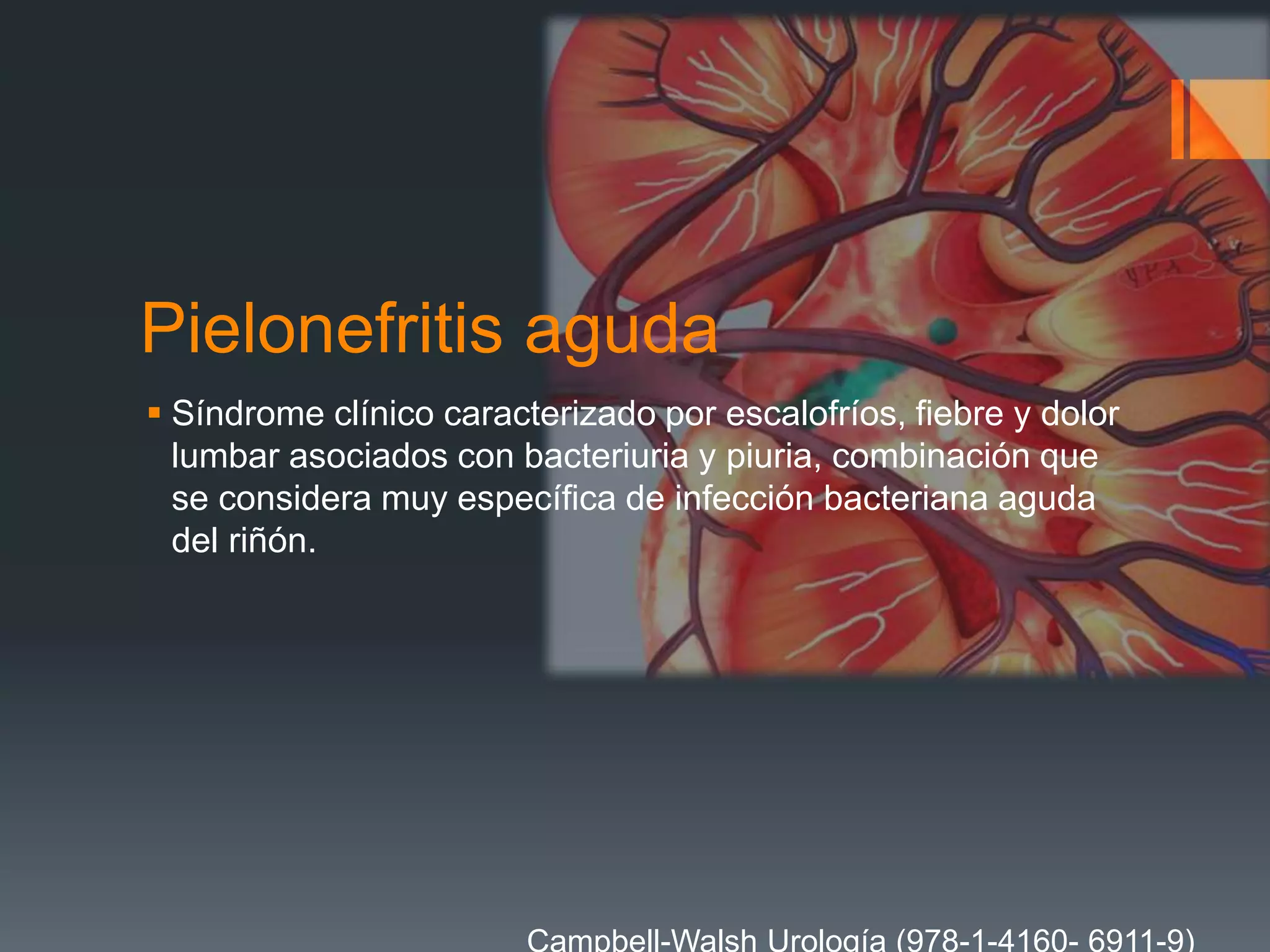 Pielonefritis | PPT