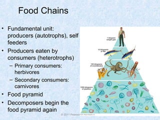 Pg class32-biosphere | PPT