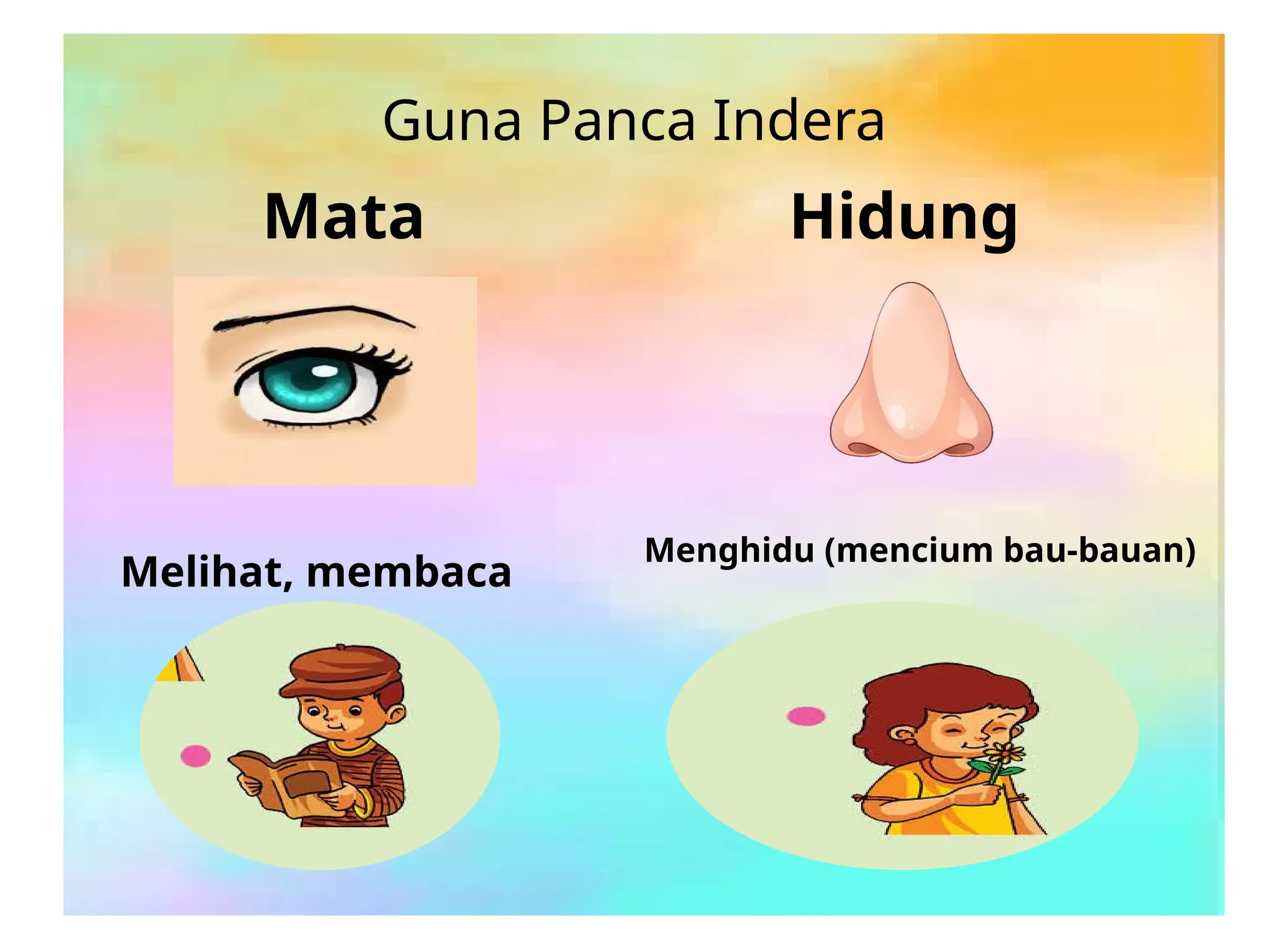 Pelajaran panca Indera manusia dan fungsinya | PPTX