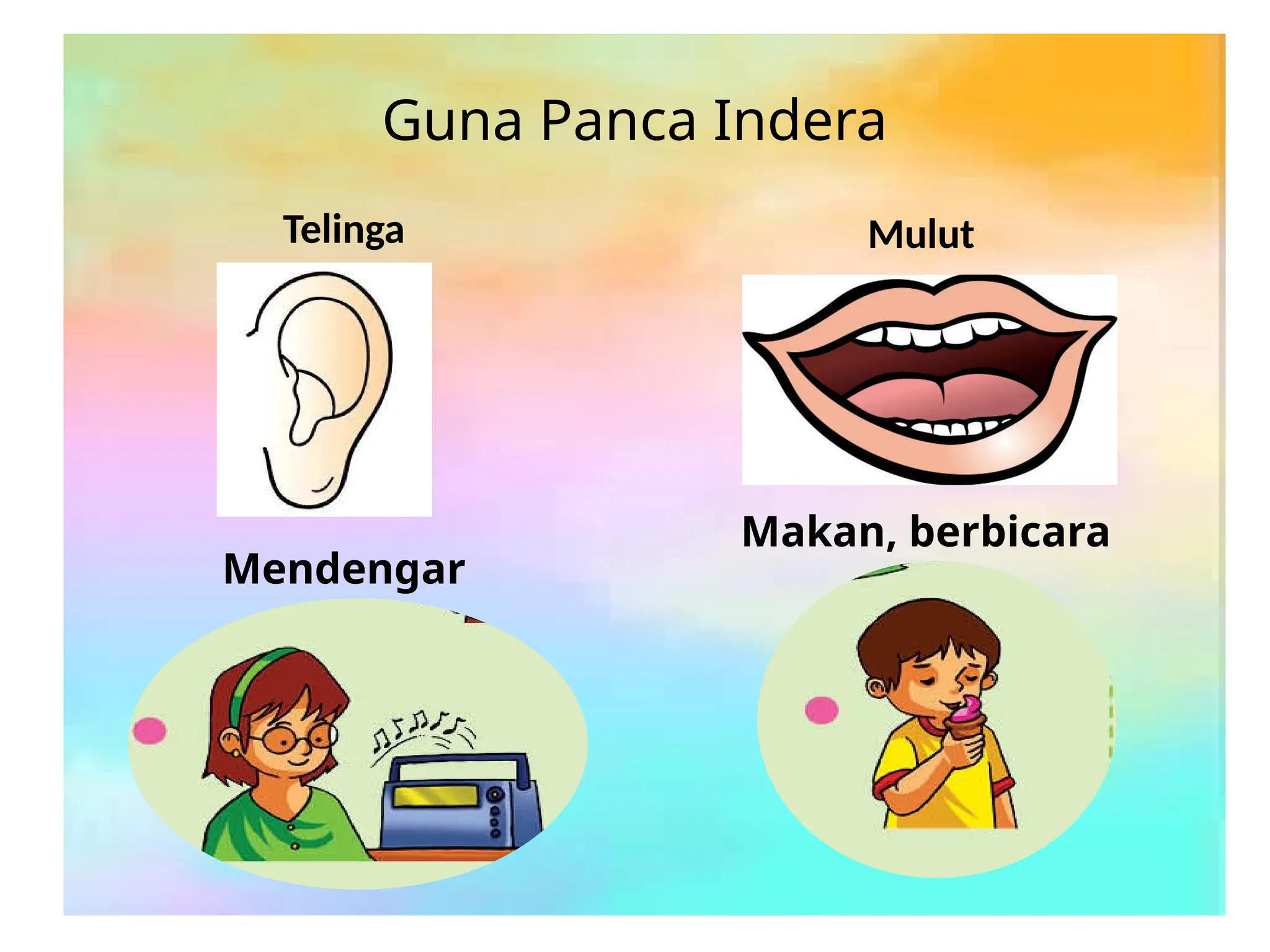 Pelajaran panca Indera manusia dan fungsinya | PPTX
