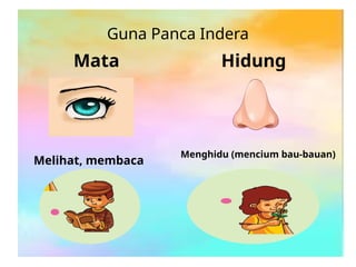 Pelajaran panca Indera manusia dan fungsinya | PPTX