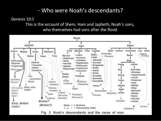 Noahs Descendants Chart Pin On Bible Illustrations