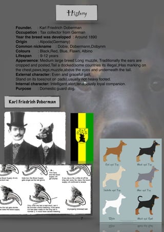 history board | PDF