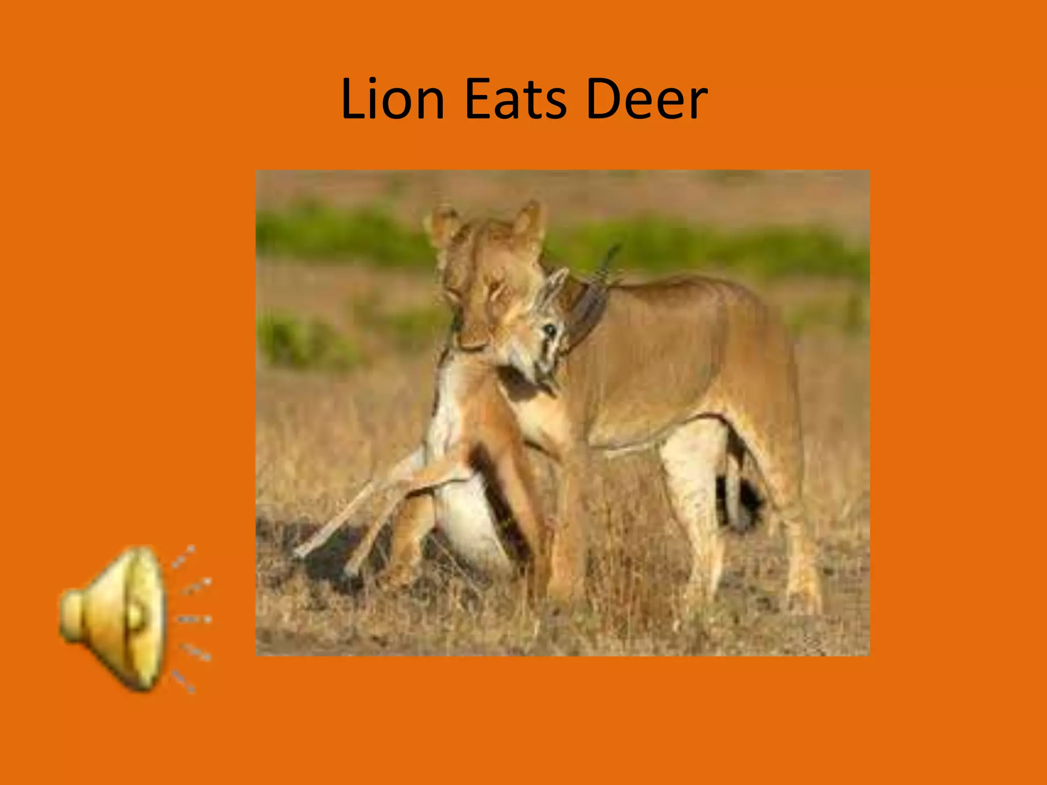 Persembahan Slaid PowerPoint | PPTX