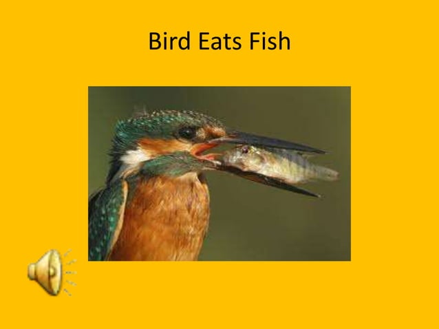 Persembahan Slaid PowerPoint | PPTX