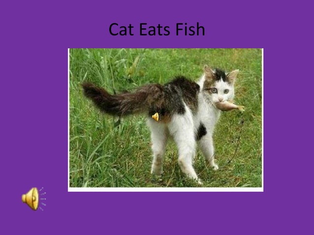 Persembahan Slaid PowerPoint | PPTX