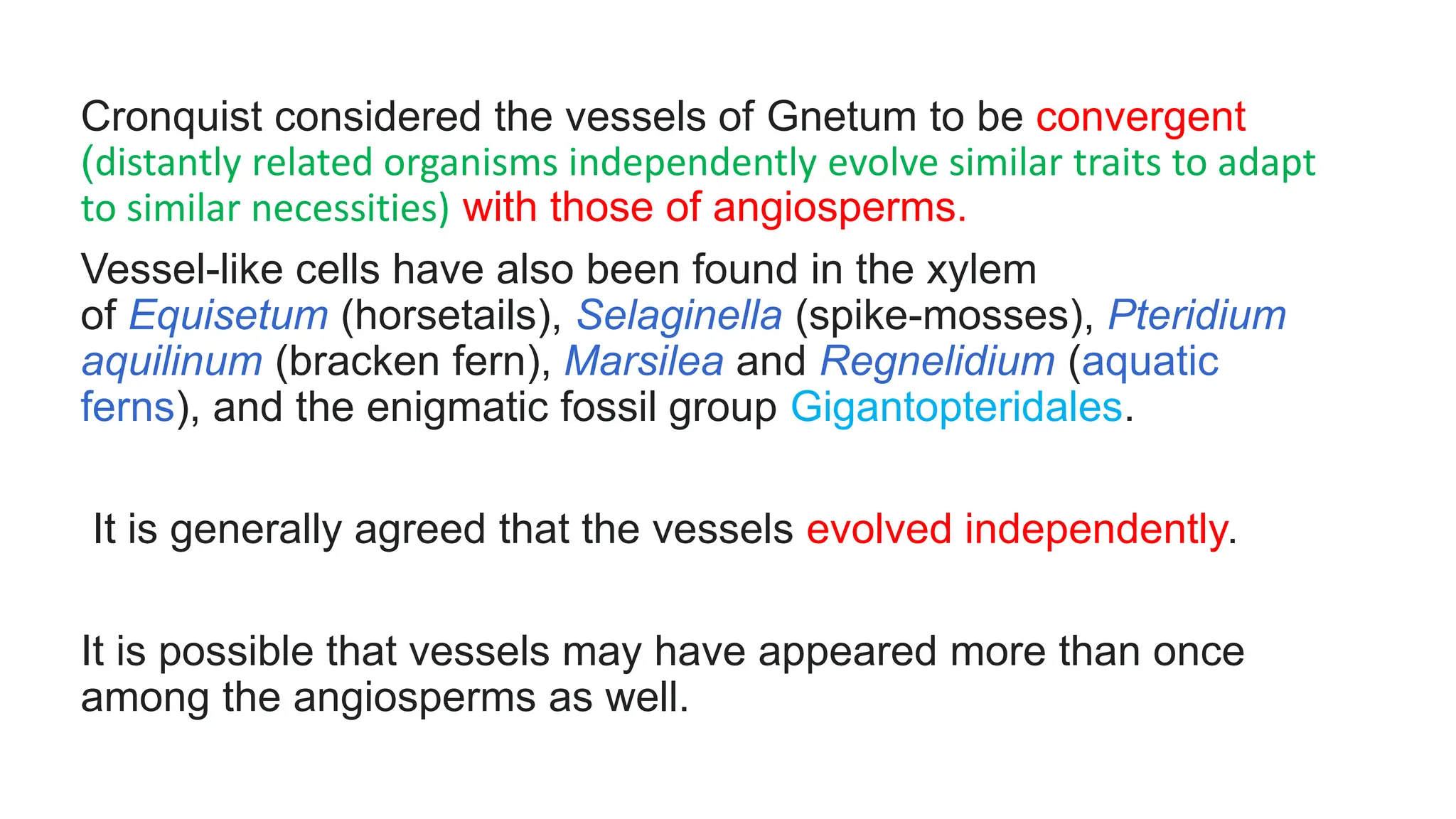 PG Anatomy Node nodal anatomy Cambium Differentiation | PDF