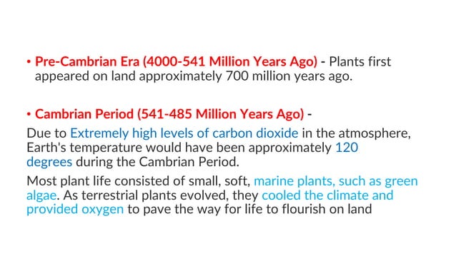 PG Anatomy Node nodal anatomy Cambium Differentiation | PDF
