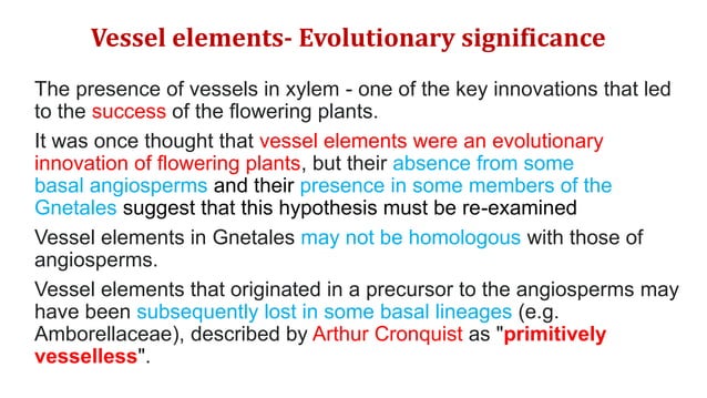 PG Anatomy Node nodal anatomy Cambium Differentiation | PDF