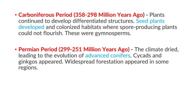 PG Anatomy Node nodal anatomy Cambium Differentiation | PDF