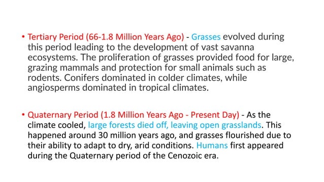 PG Anatomy Node nodal anatomy Cambium Differentiation | PDF