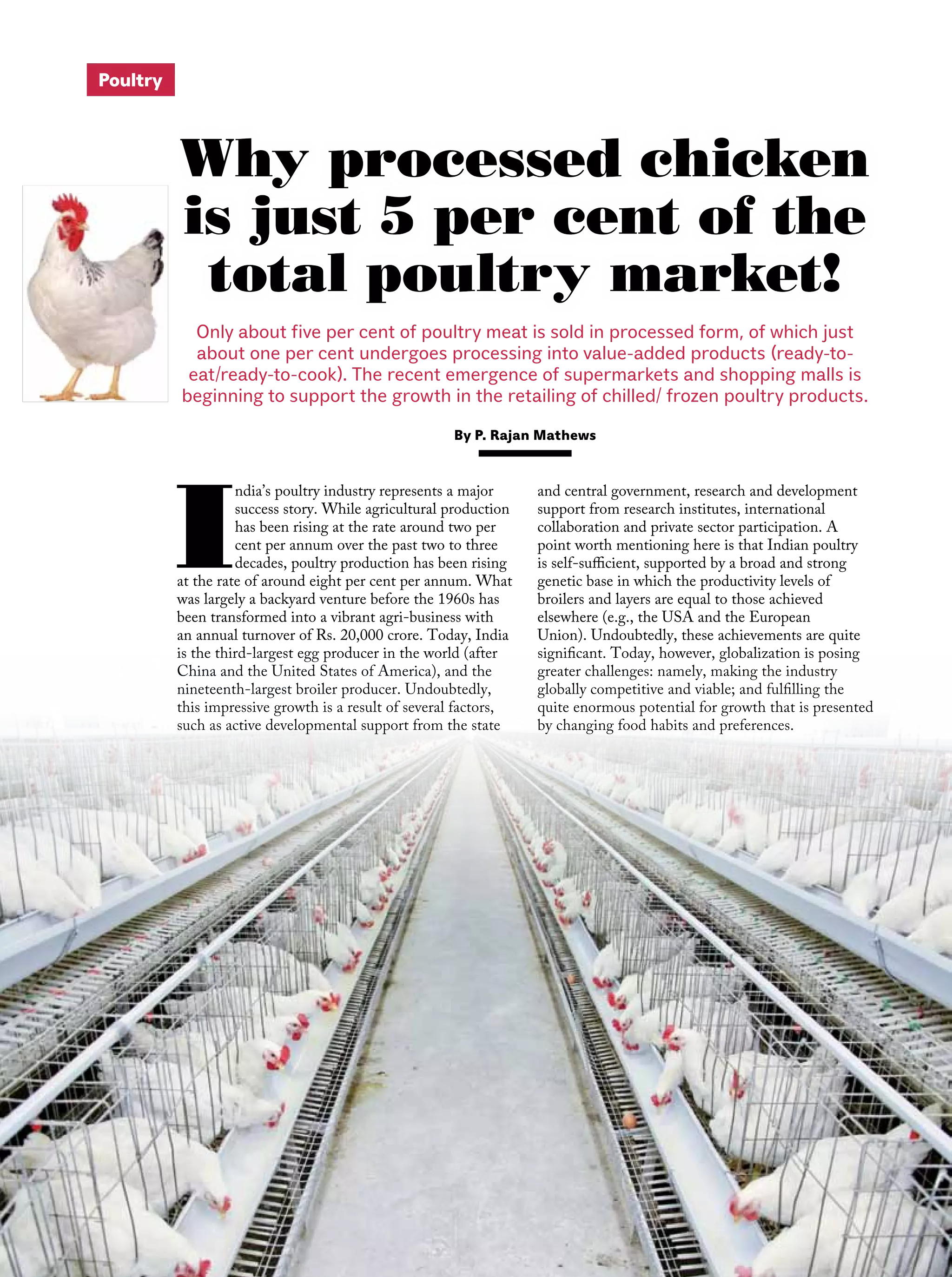 Why Processed Chicken is just 5% of the Poultry Market. | PDF