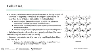 PGCCA example paper and paper board making.pptx